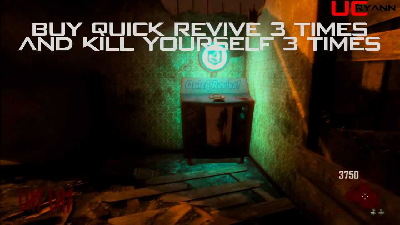 Black Ops 2 Zombies: Quick Revive Town Barrier - YouTube