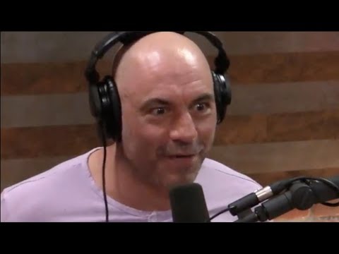 Joe Rogan - MMA is Weird - YouTube