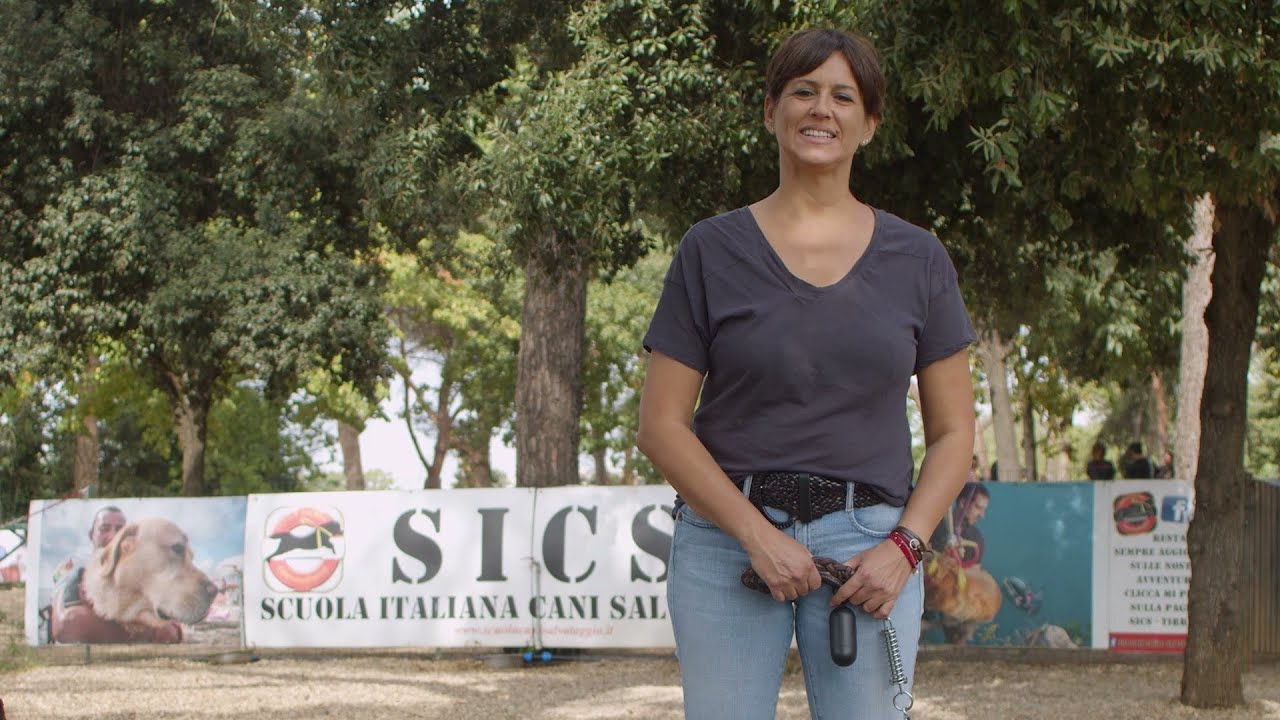 Monica Lucarelli: "Tutela degli animali domestici, il nostro programma ...