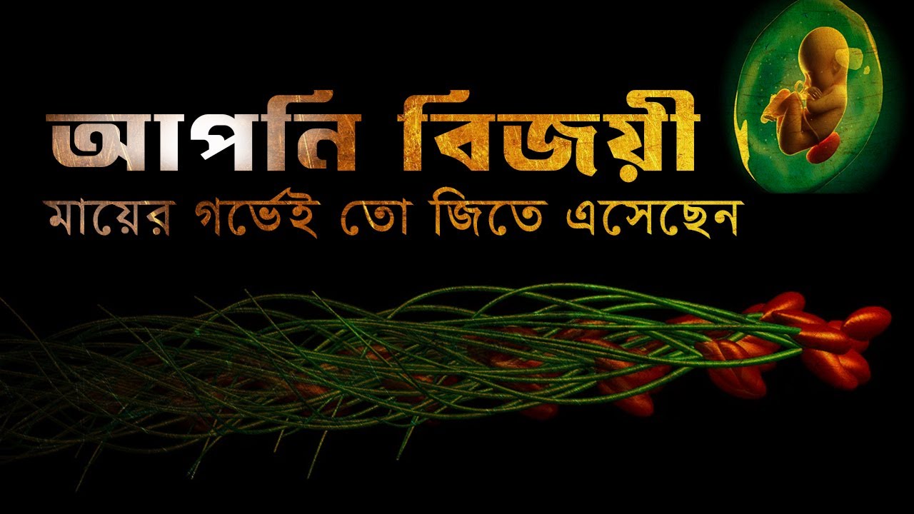 You Are a Miracle The Untold Story of Your First Victory | Angry Vibe ...