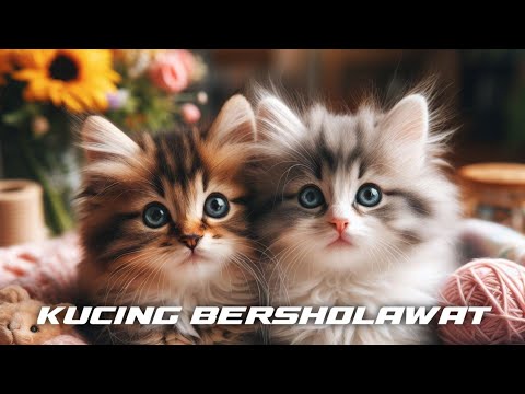KUCING MENYANYI SHOLAWAT MERDU || kucing ber sholawat merdu banget ...