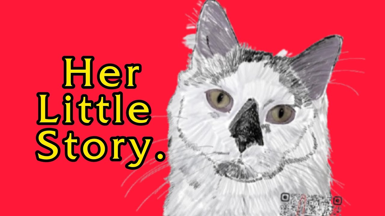 Mini The Cat (Mini Documentary) - YouTube