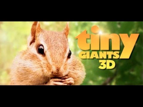 FESTIVAL 30 ANS / TINY GIANTS 3D - YouTube