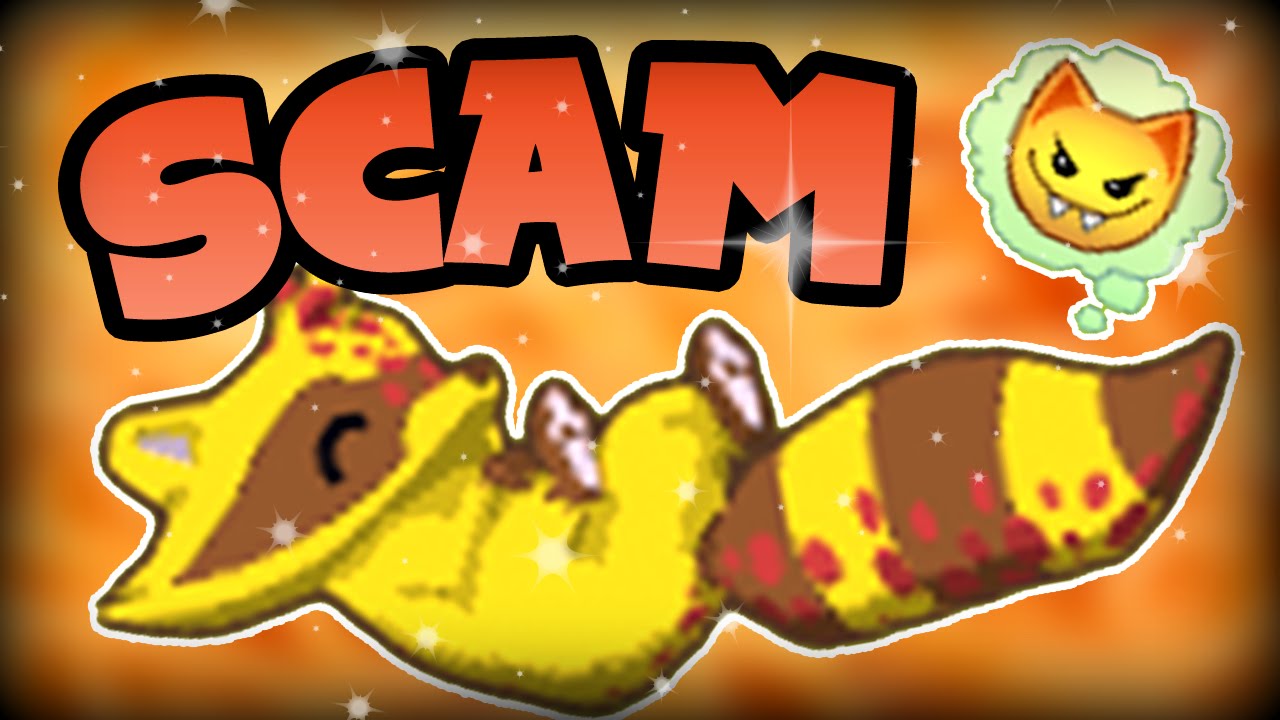 THE ANIMAL JAM SPAGHETTI RACCOON SCAM - YouTube