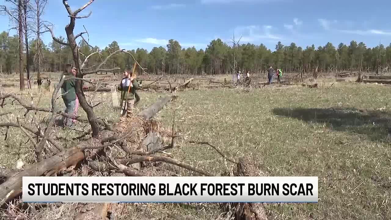 Colorado Springs students restoring Black Forest burn scar - YouTube