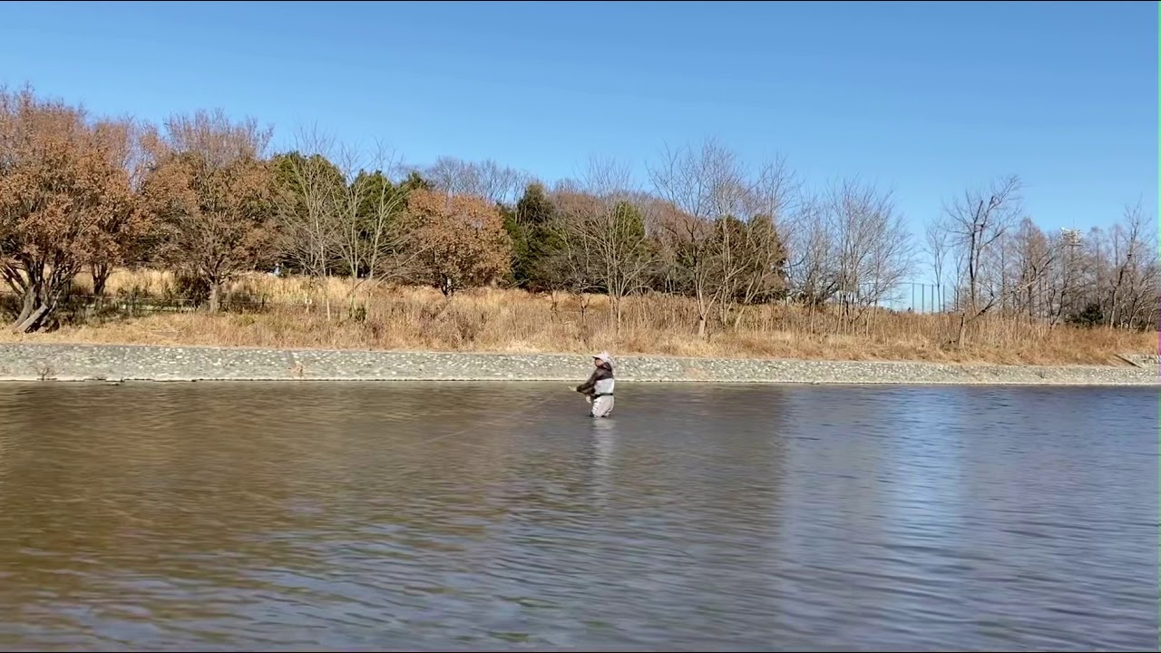 Left Snake Roll Practice - YouTube