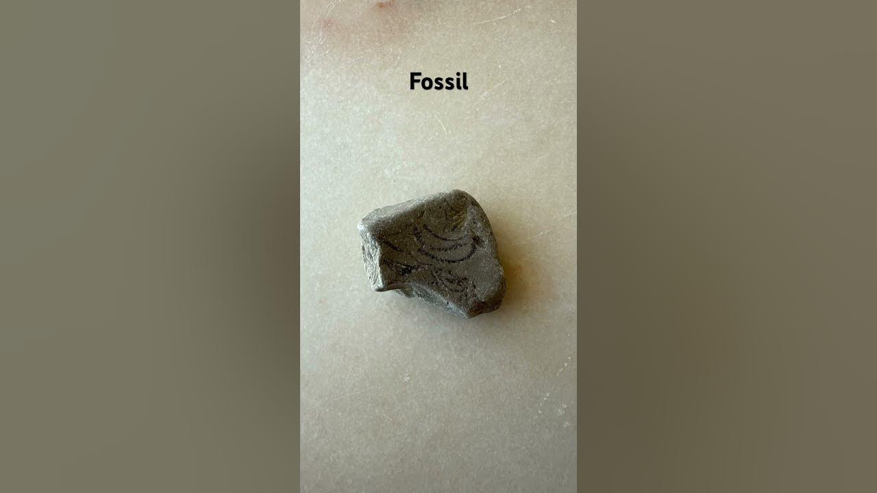 Fossil - YouTube