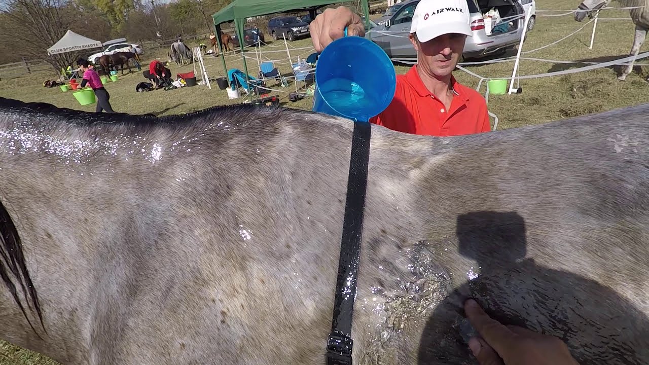 Finish bucla 2 Radauti oct 2019 - YouTube