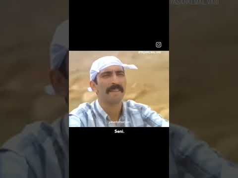 İki yitik hasret, İki parça can... Yaşar Kemal #edebiyat #şiir #aşk #ayrılık