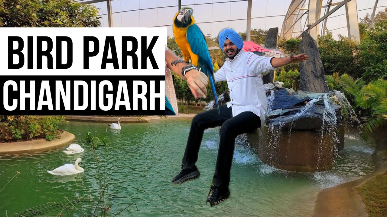 Bird Park Chandigarh | Top Famous Place in Chandigarh | Ticket Timing ...