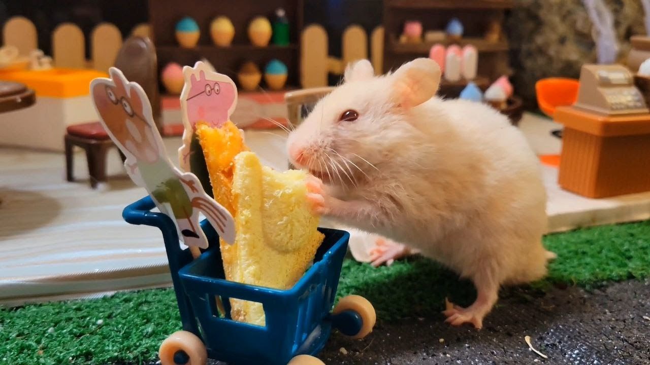 Adorable Hamster Finds Sandwich in Basket. - YouTube