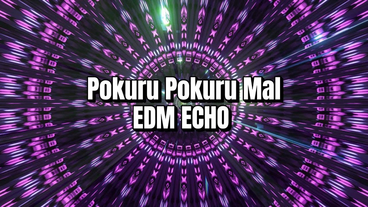 Pokuru Pokuru Mal Remix | EDM Echo - YouTube