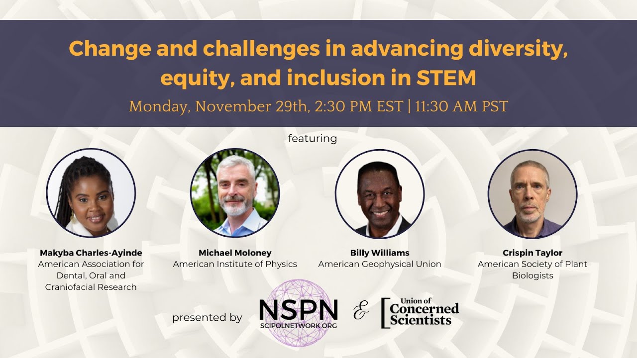 Change and Challenges in Advancing DEI in STEM | National Science ...