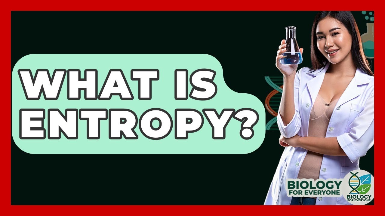 What Is Entropy? - Biology For Everyone - YouTube