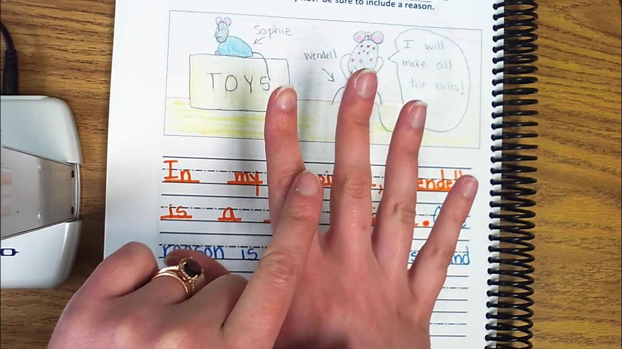 1st Grade Opinion Writing, OREO Reason and Example, Weekend with ...