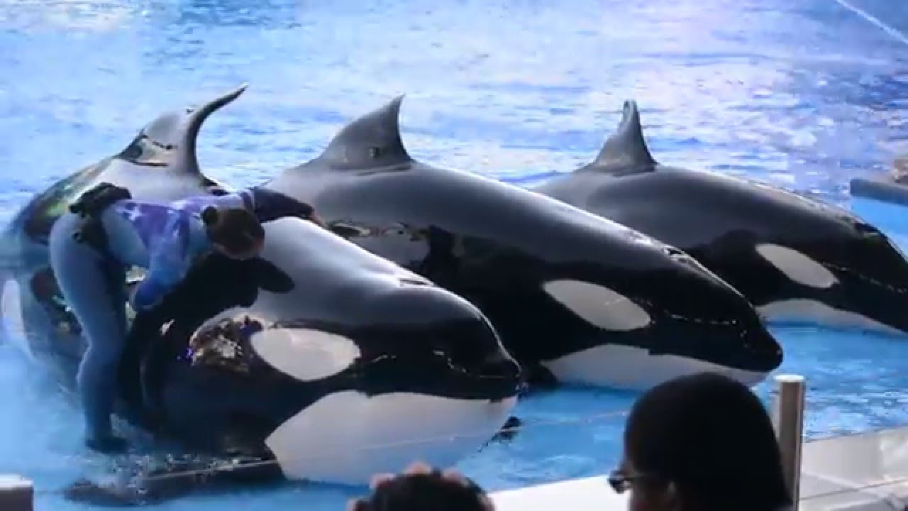 Full One Ocean Show Part 1 - YouTube