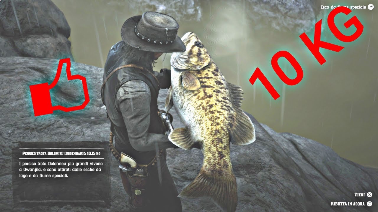 RDR2-PESCA-persico trota dolomieu leggendario! - YouTube