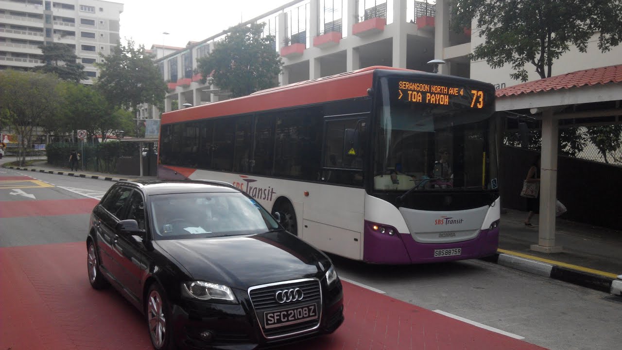 SBS Transit Bus Service 73 ride, SBS8597T - YouTube