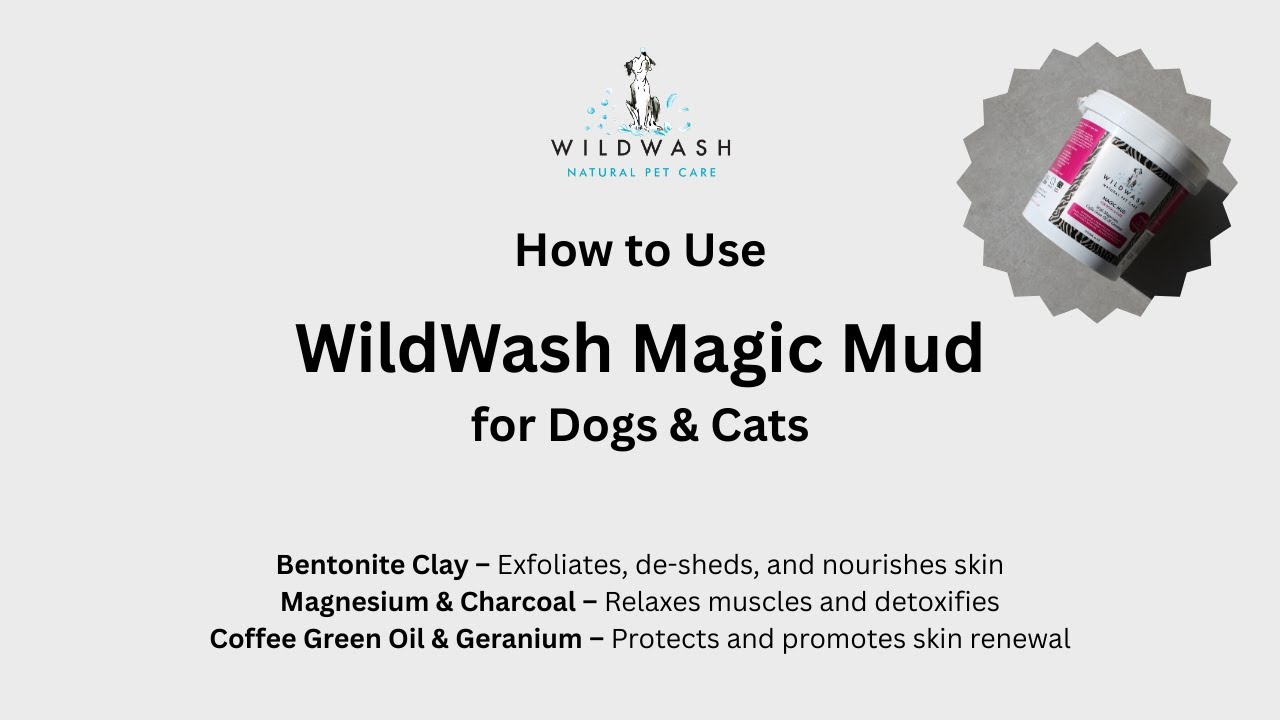 How To Use WildWash Magic Mud - YouTube