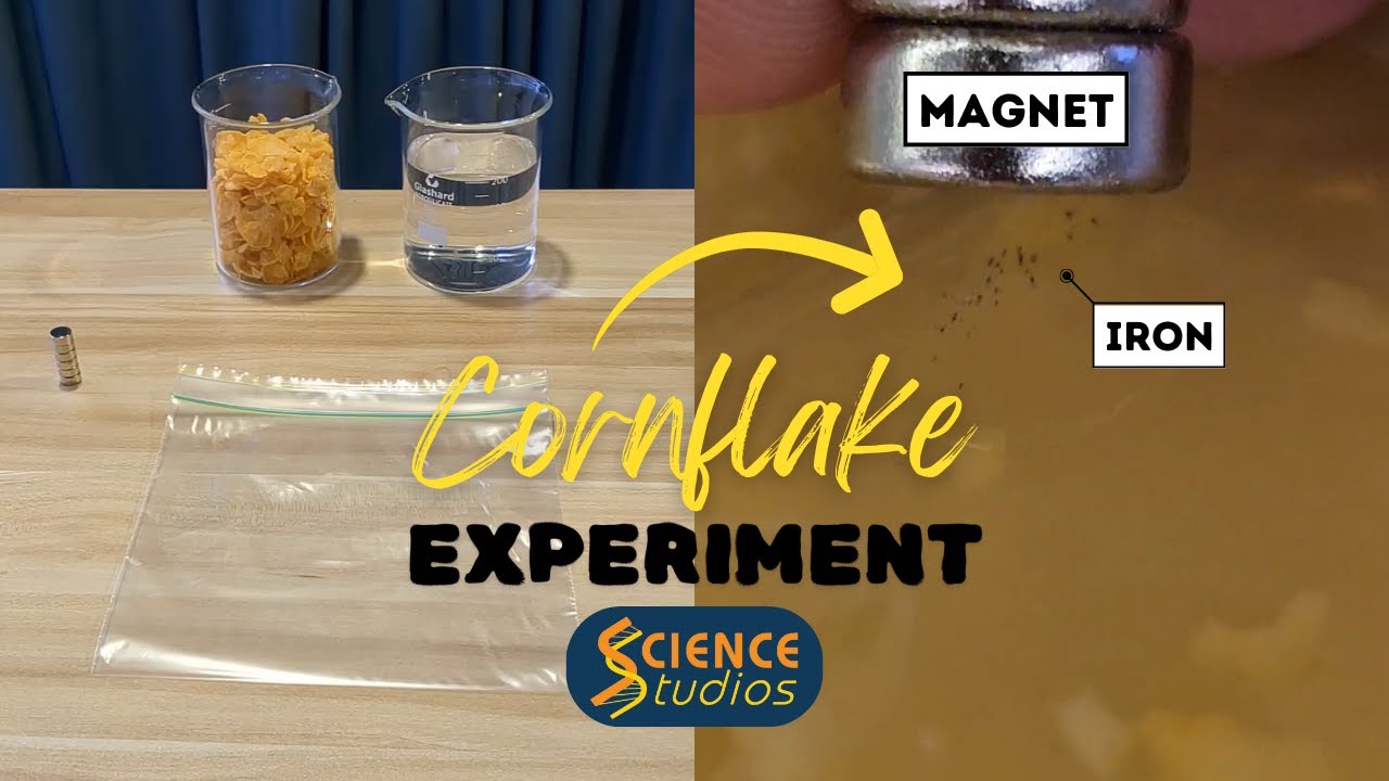 🧲 Magnetic Materials in Your Cereal! - YouTube