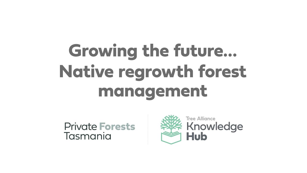 Growing the future: Native regrowth forest management - YouTube