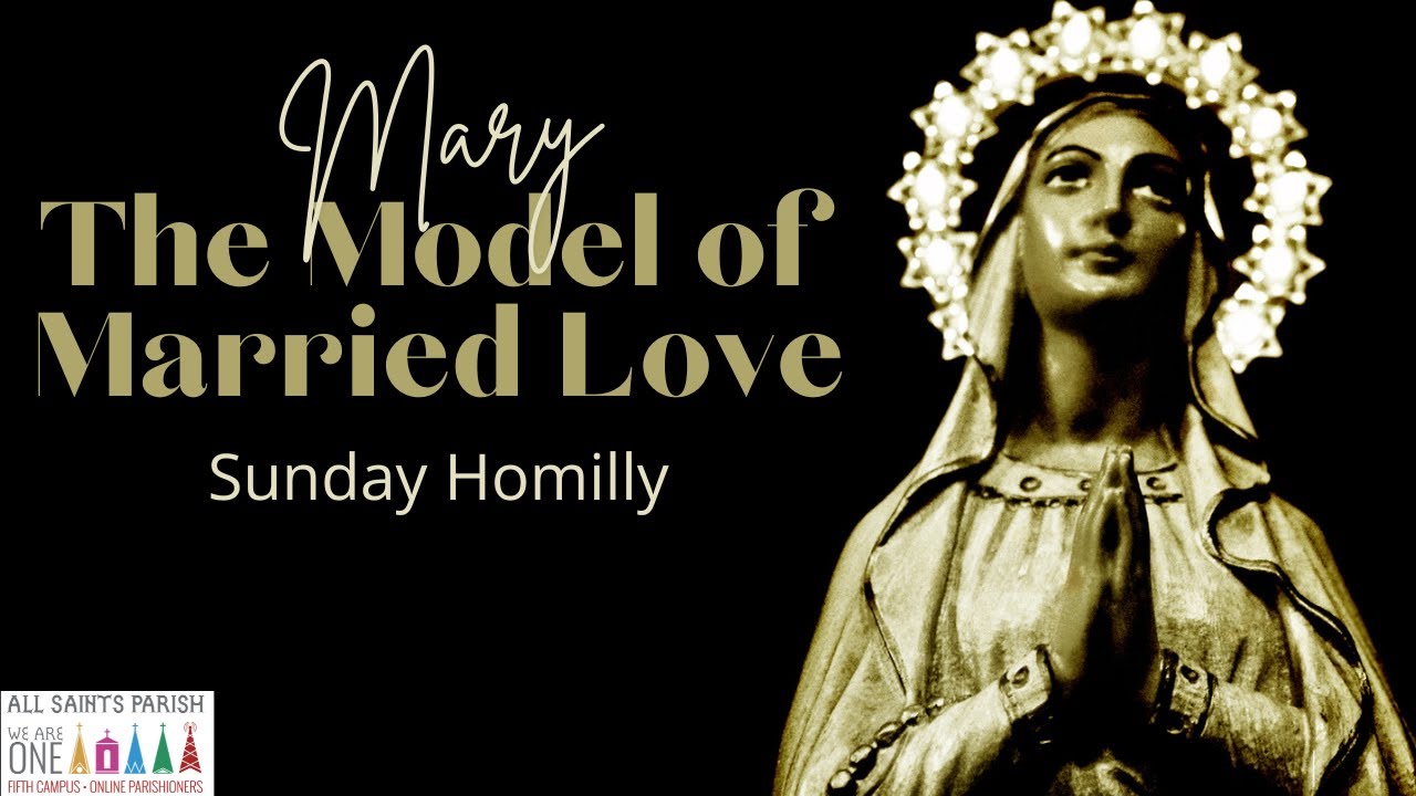Mary, The Model of Married Love ! Sunday Homily 9.28.24. ~ Fr. Jonathan Meyer - YouTube