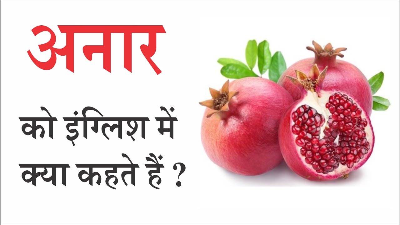 अनार को इंग्लिश में क्या कहते हैं / anar ki english kya hoti hai / anar ...