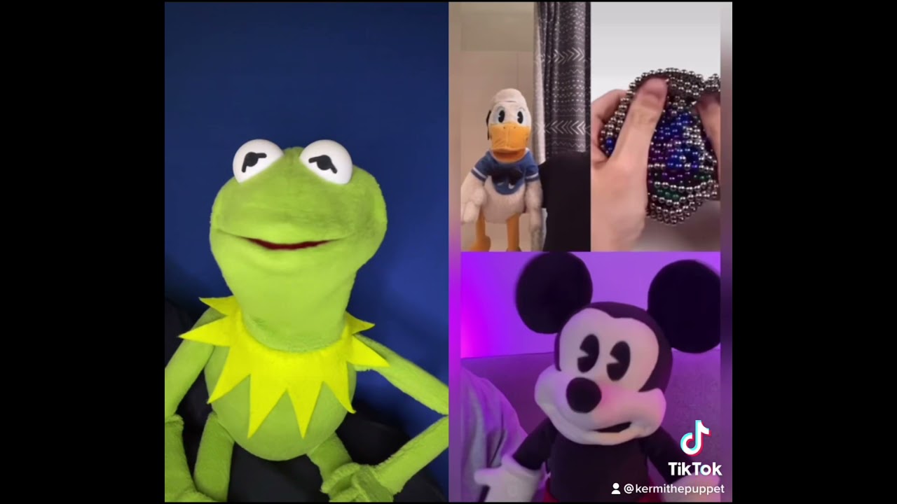 Kermit reacts to Mickey Mouse and Donald Duck Tiktok - YouTube