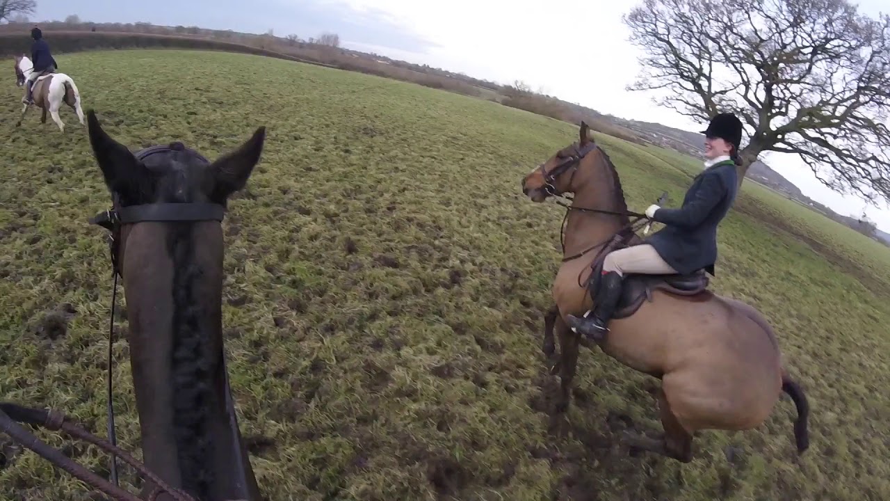 Portman Hunt 9/12/17 - YouTube