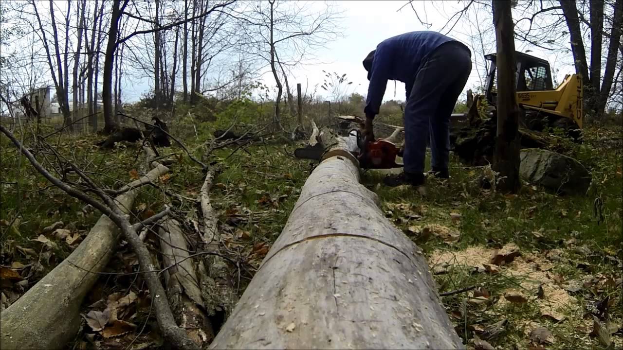 cutting fire wood - YouTube