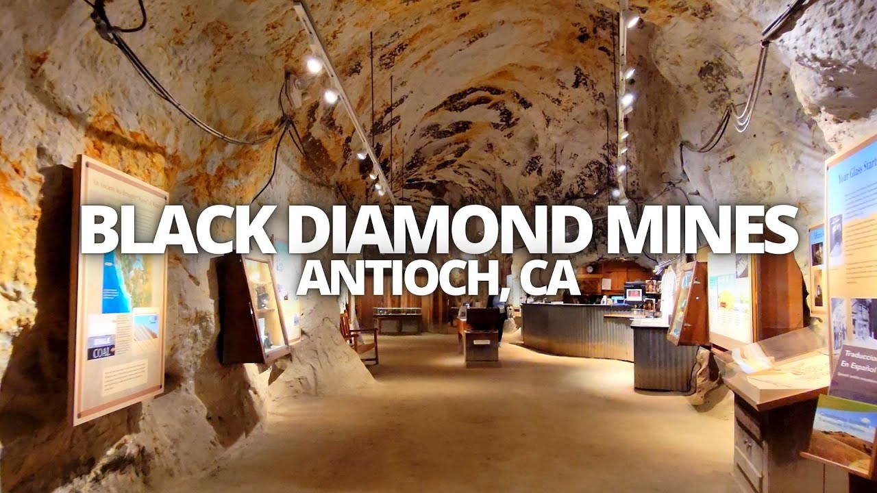 Black Diamond Mines History | Black Diamond Mines Greathouse Visitor ...