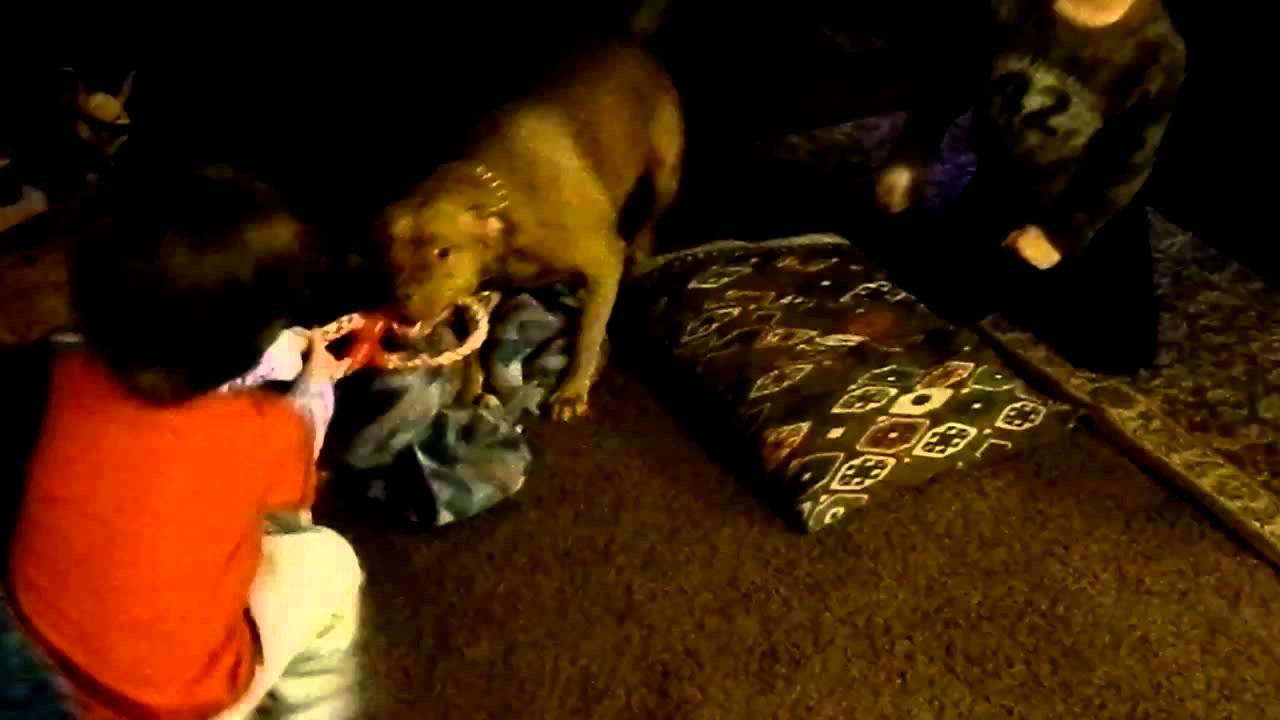 kids and dog3 - YouTube