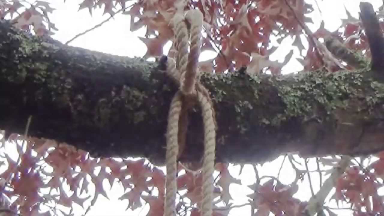 How to Tie a Draw Hitch - YouTube