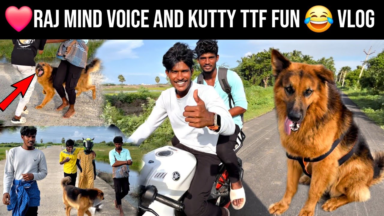 RAJ MIND VOICE 💖 AND KUTTY TTF FUN 😂 VLOG @rajmindvoice1991 ...
