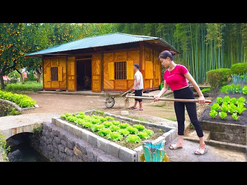 Part 3: Journey of Building a Farm | Million Dollar Forest House Project