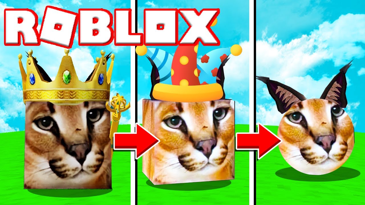 EM BUSCA DAS MELHORES TRANSFORMAÇÕES DE FLOPPA (Roblox Find The Floppa ...