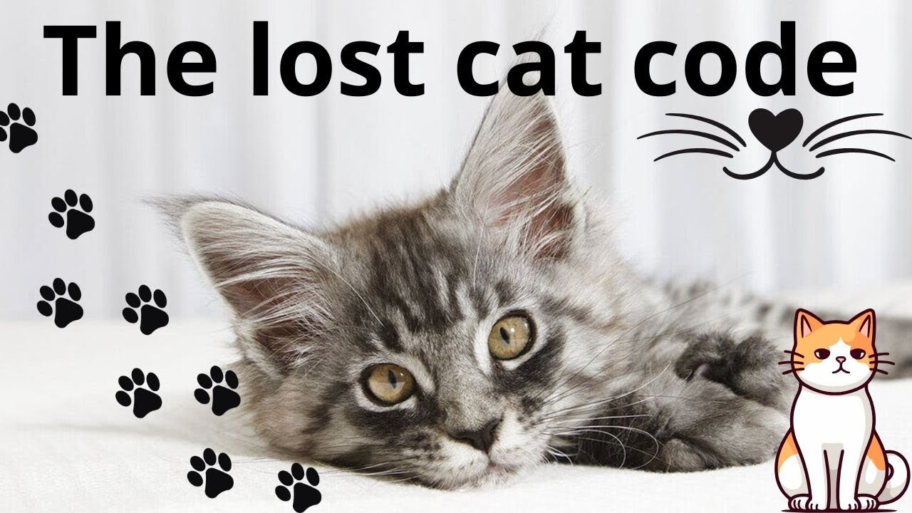 “the Lost cat code” ⚠️alert⚠️ “the Lost cat code” review. - YouTube