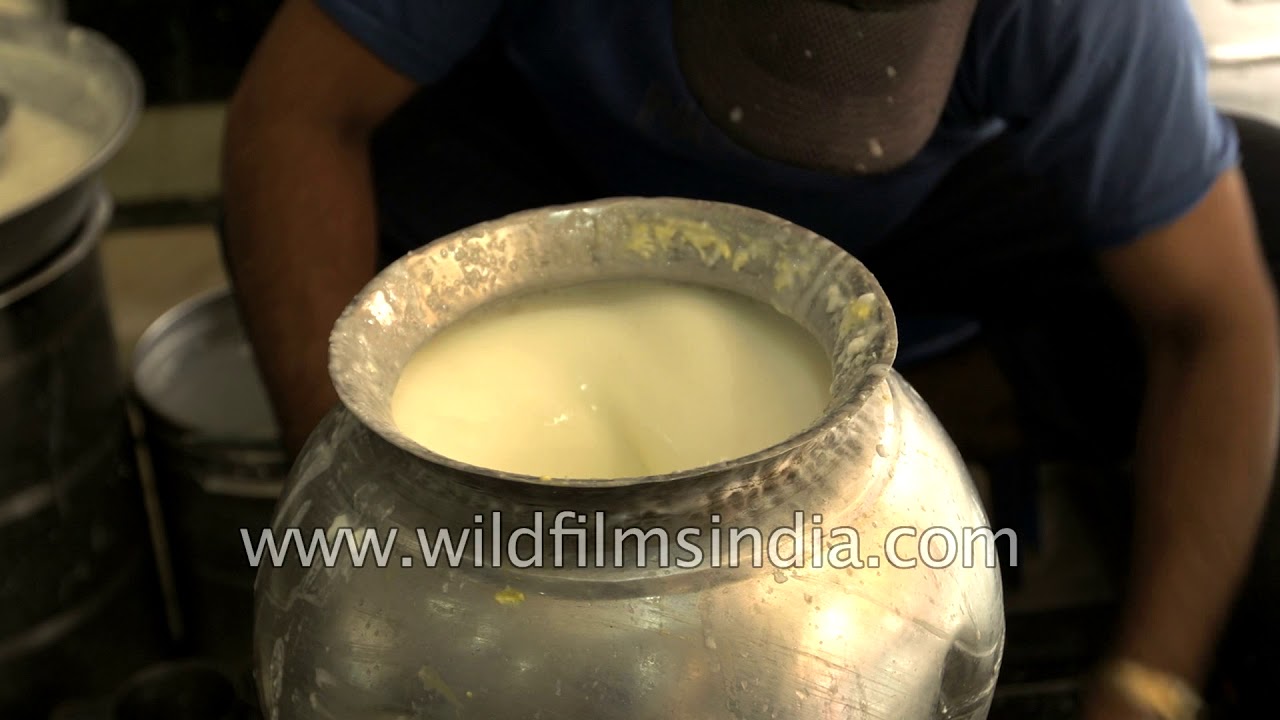 Making of special Amritsari lassi - YouTube