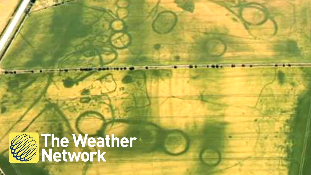Hidden and mysterious secrets discovered during British heat wave - YouTube