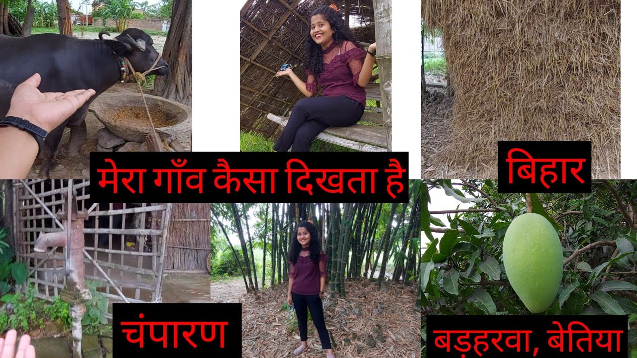 MY FIRST VLOG,MY VILLAGE,BARHARWA,BIHAR,WEST CHAMPARAN || KHUSHI RAJ ...