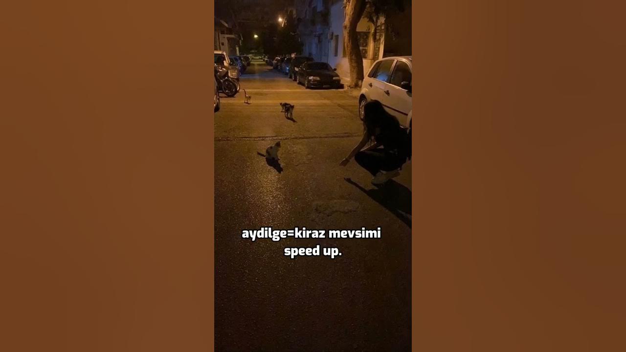 Aydilge Kiraz Mevsimi Speed Up Song 💗 Youtube
