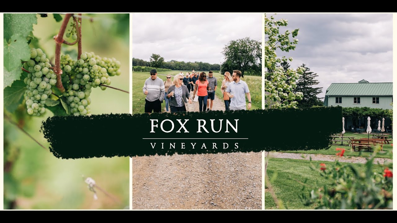 Welcome to Fox Run Vineyards - YouTube