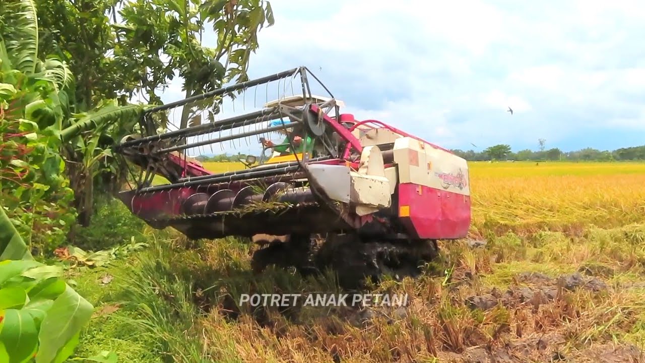 COMBINE HARVESTER MAXXI BIMO NDR 102L BEKERJA DI LAHAN LENGKET - YouTube