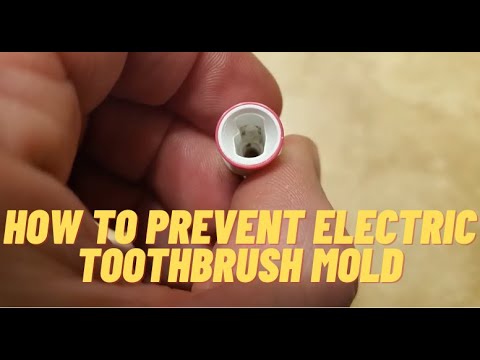 How to Prevent Electric Toothbrush Head Mold - YouTube