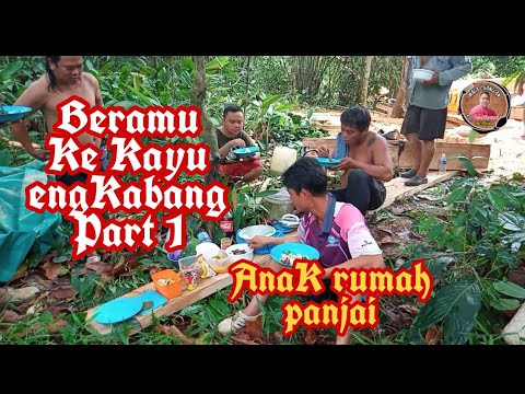 Beramu ke Rumah Panjai Ngena kayu Engkabang ( memotong kayu Engkabang ...