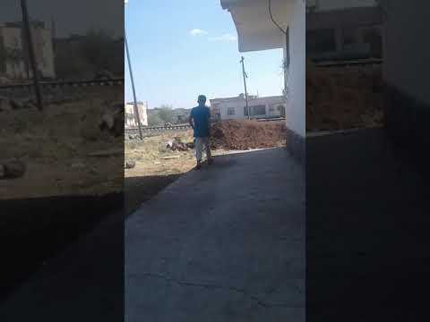 Eve giren iki hırsız