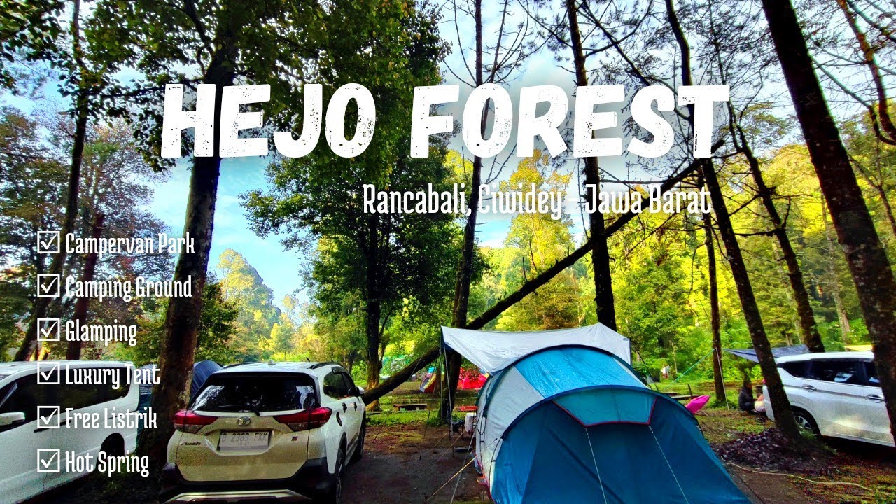 Camping Keluarga di Hejo Forest Ciwidey - YouTube