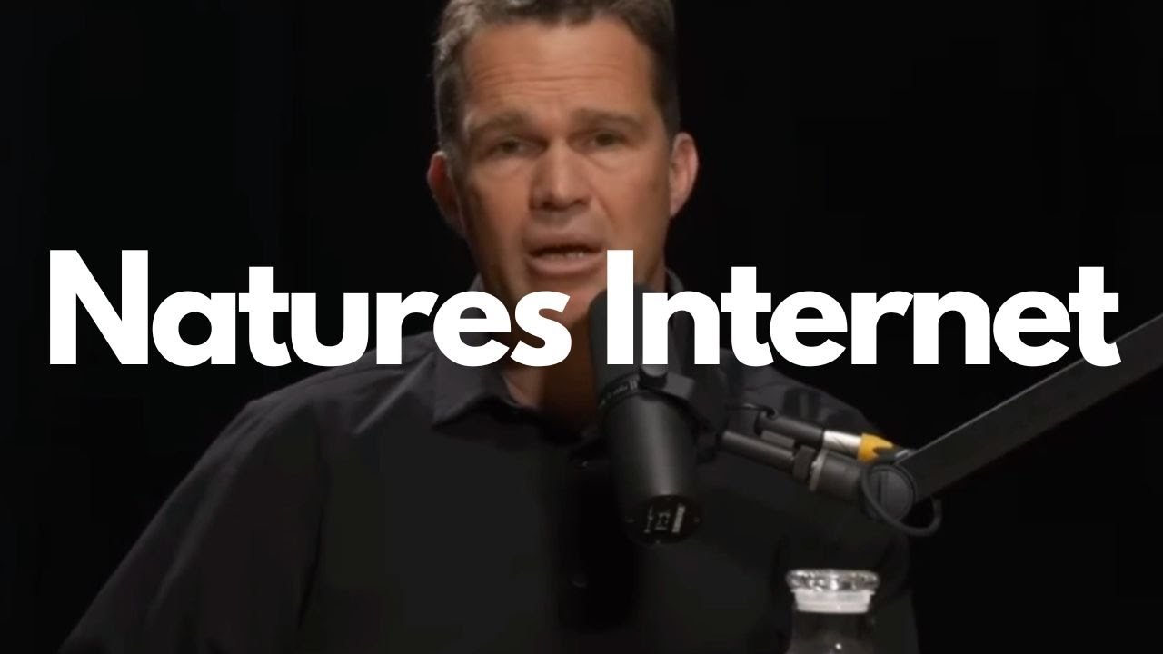 So Simple It Could Save Us All Part 2 | Zack Bush - YouTube