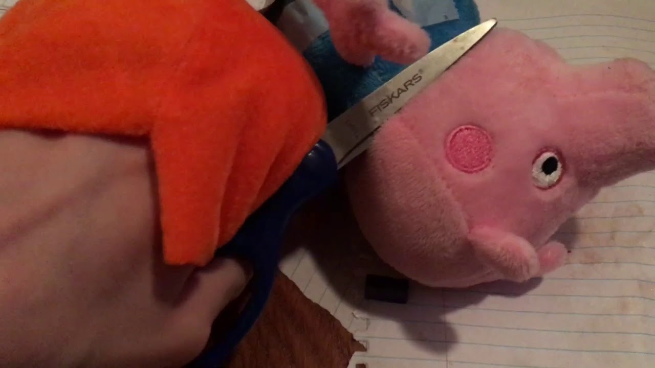 how to dissect a pig - YouTube
