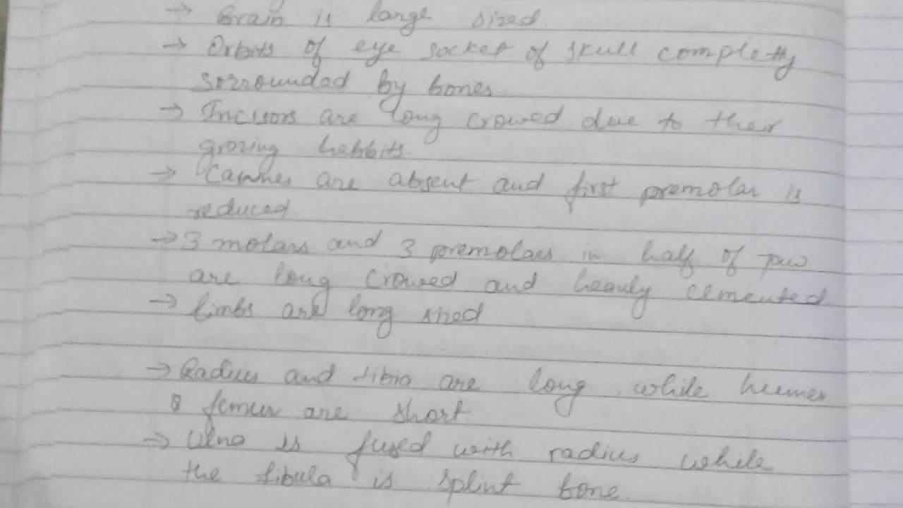 Menstrual cycle.! Hand written notes class 12 and for bsc ! ZOOLOGY ...